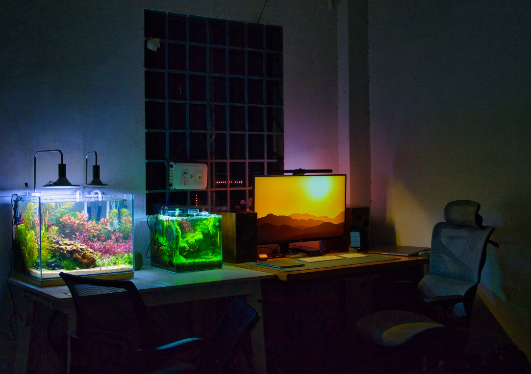 How to Make the Gaming PC of Home Aquariums – yescomusa